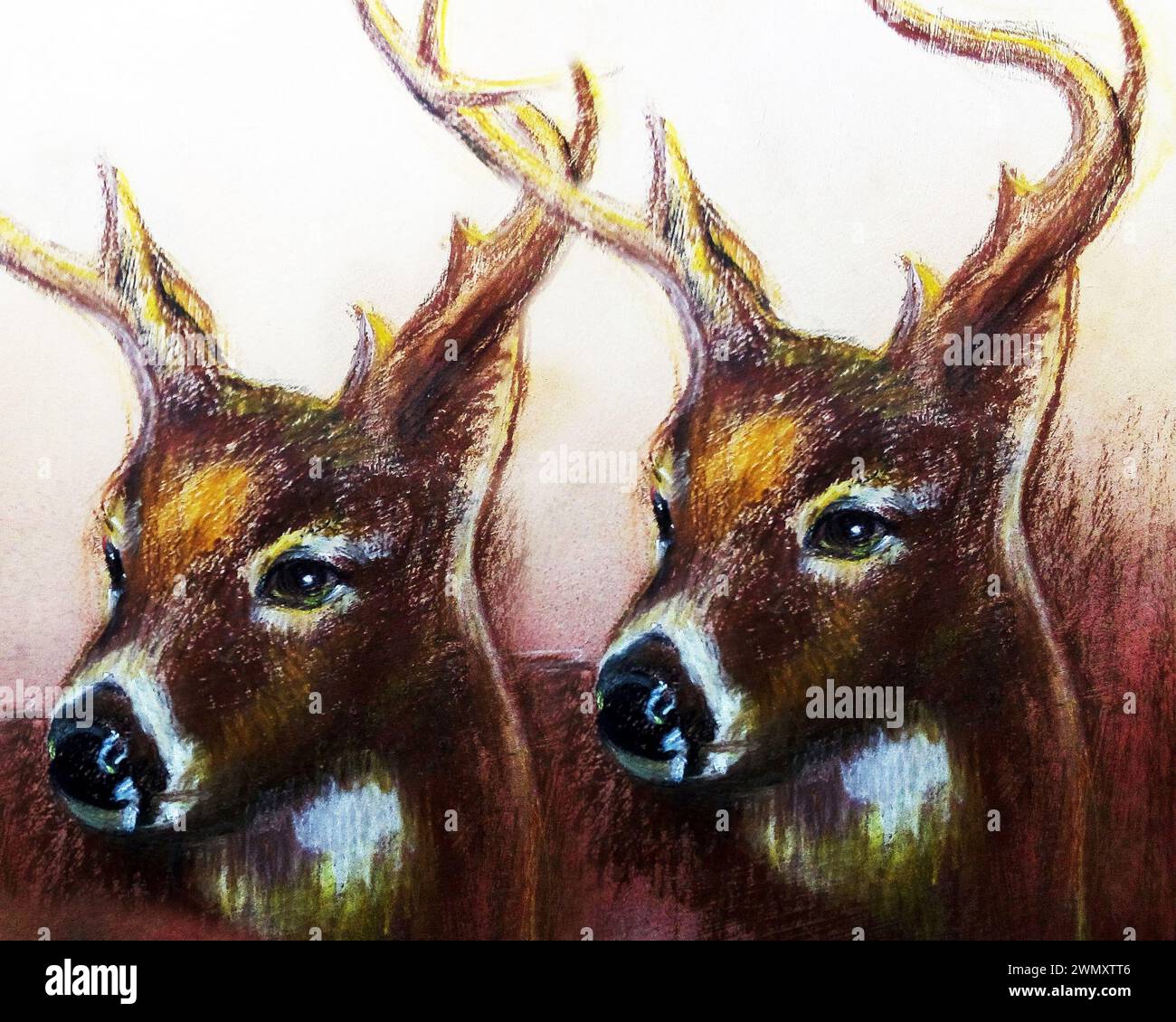 abstract drawing colorful wax crayon deer Stock Photo - Alamy