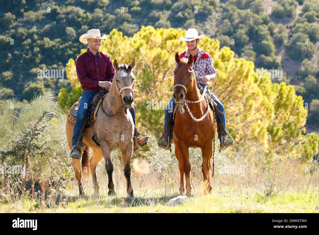Two Cowboys riding their Quarterhorses in the outback. Andalucia, Spain ...