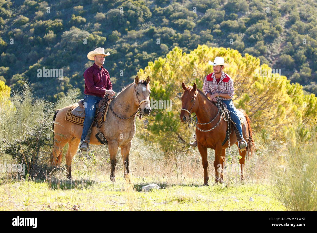 Two Cowboys riding their Quarterhorses in the outback. Andalucia, Spain ...