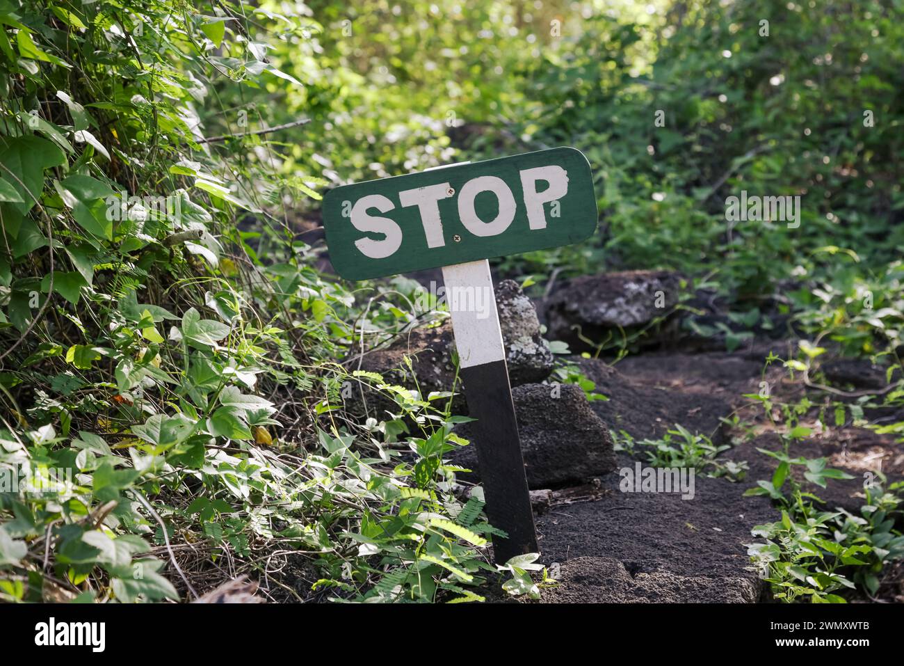 Prohibited breeding hi-res stock photography and images - Alamy