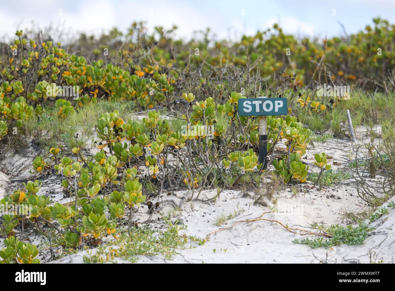 Turtle nesting warning sign hi-res stock photography and images - Alamy