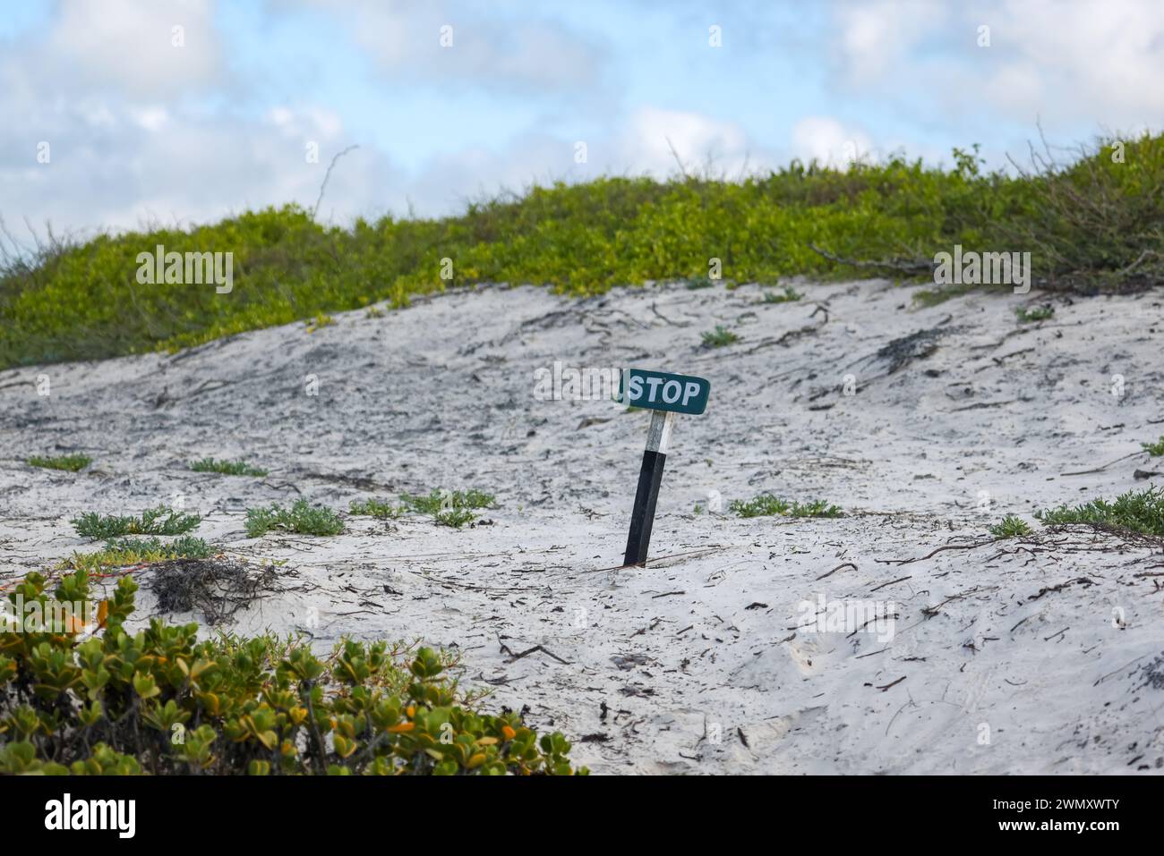 Puerto Ayora, Ecuador - April 12, 2023: STOP-sign Nesting area for the ...