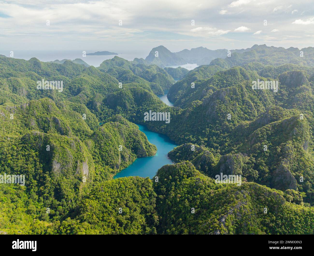 Tropical mountain with green plants around the Kayangan Lake in Coron ...