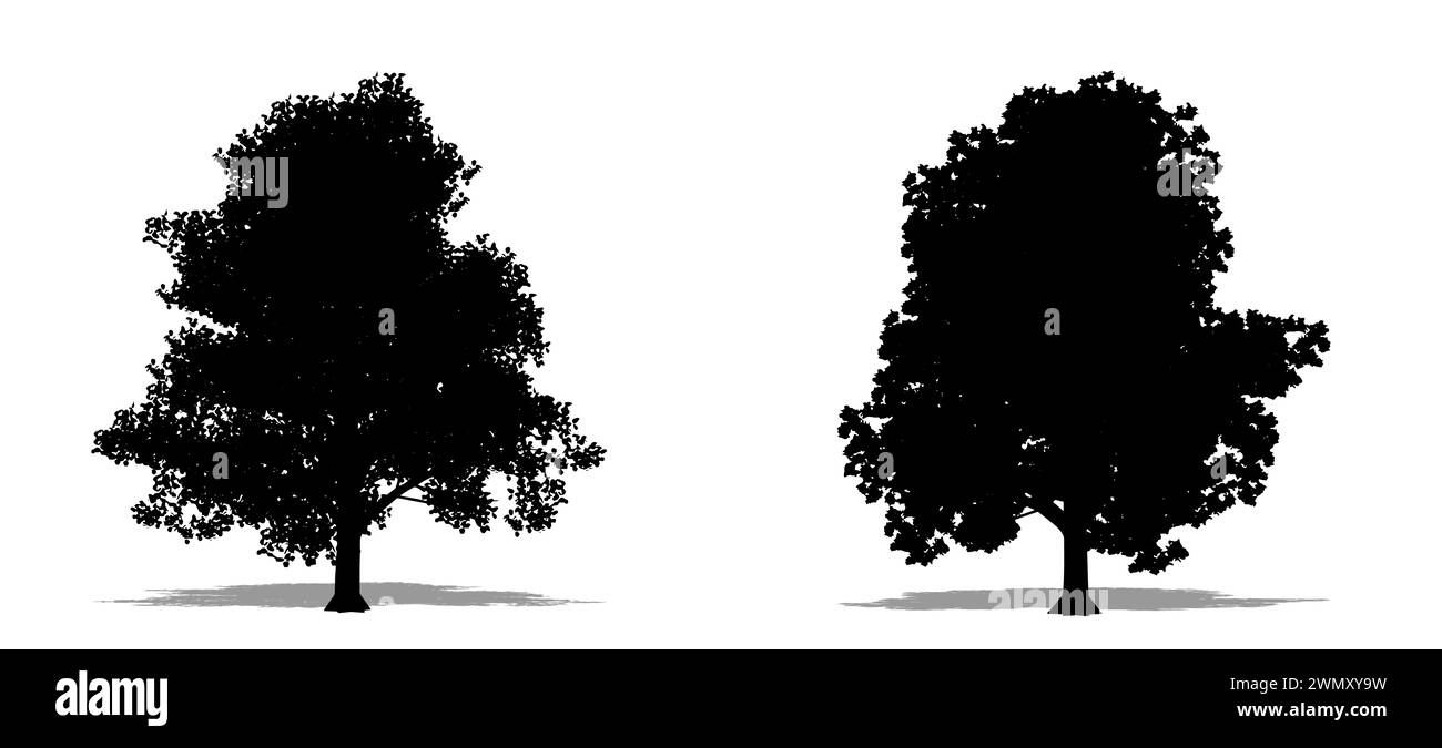 Set or collection of Granny Smith trees as a black silhouette on white ...