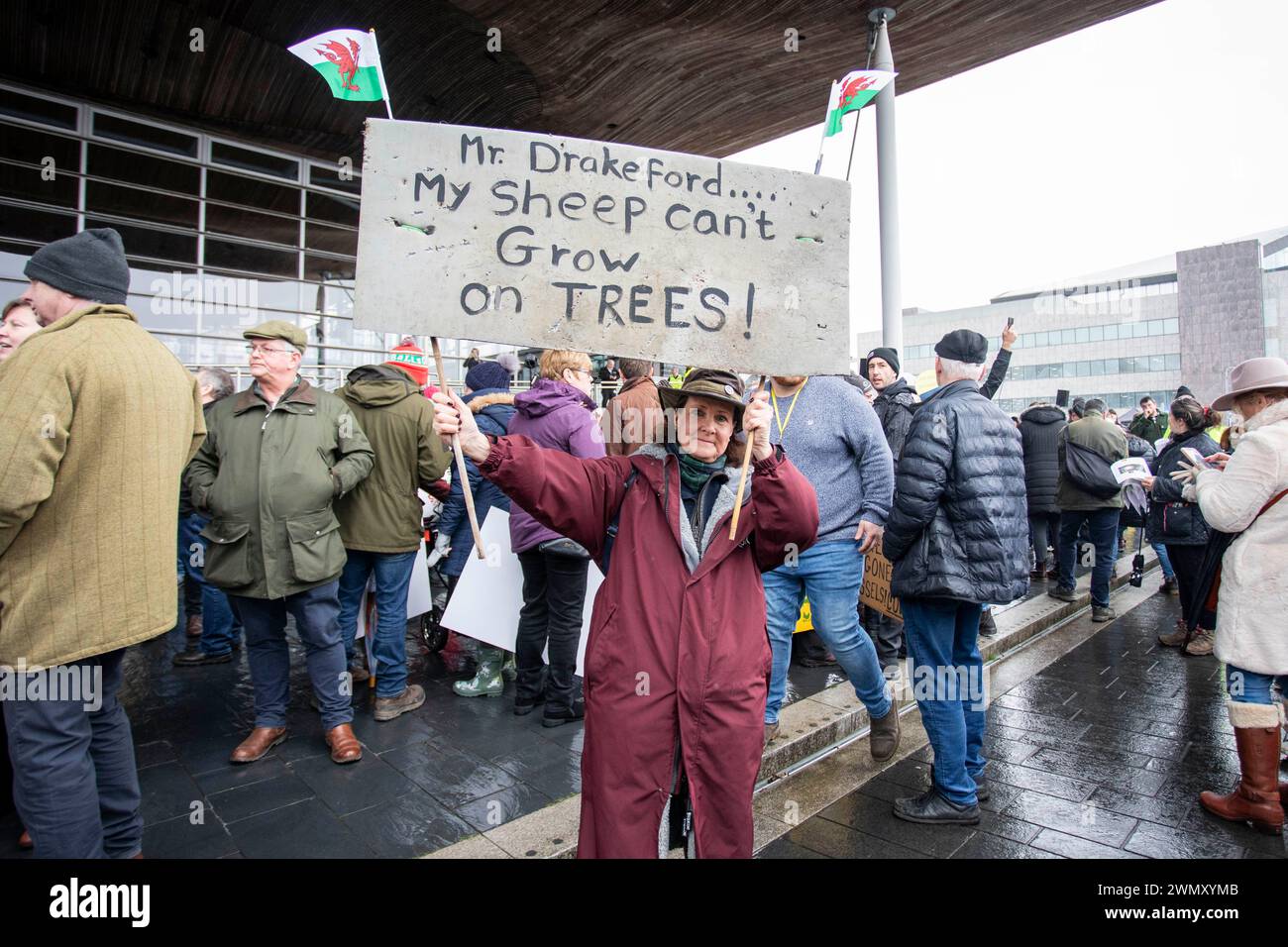 Environmental similar hi-res stock photography and images - Alamy