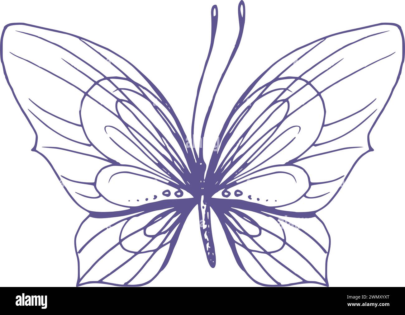 Delicate butterfly with patterns on the wings, simple, sweet, light ...