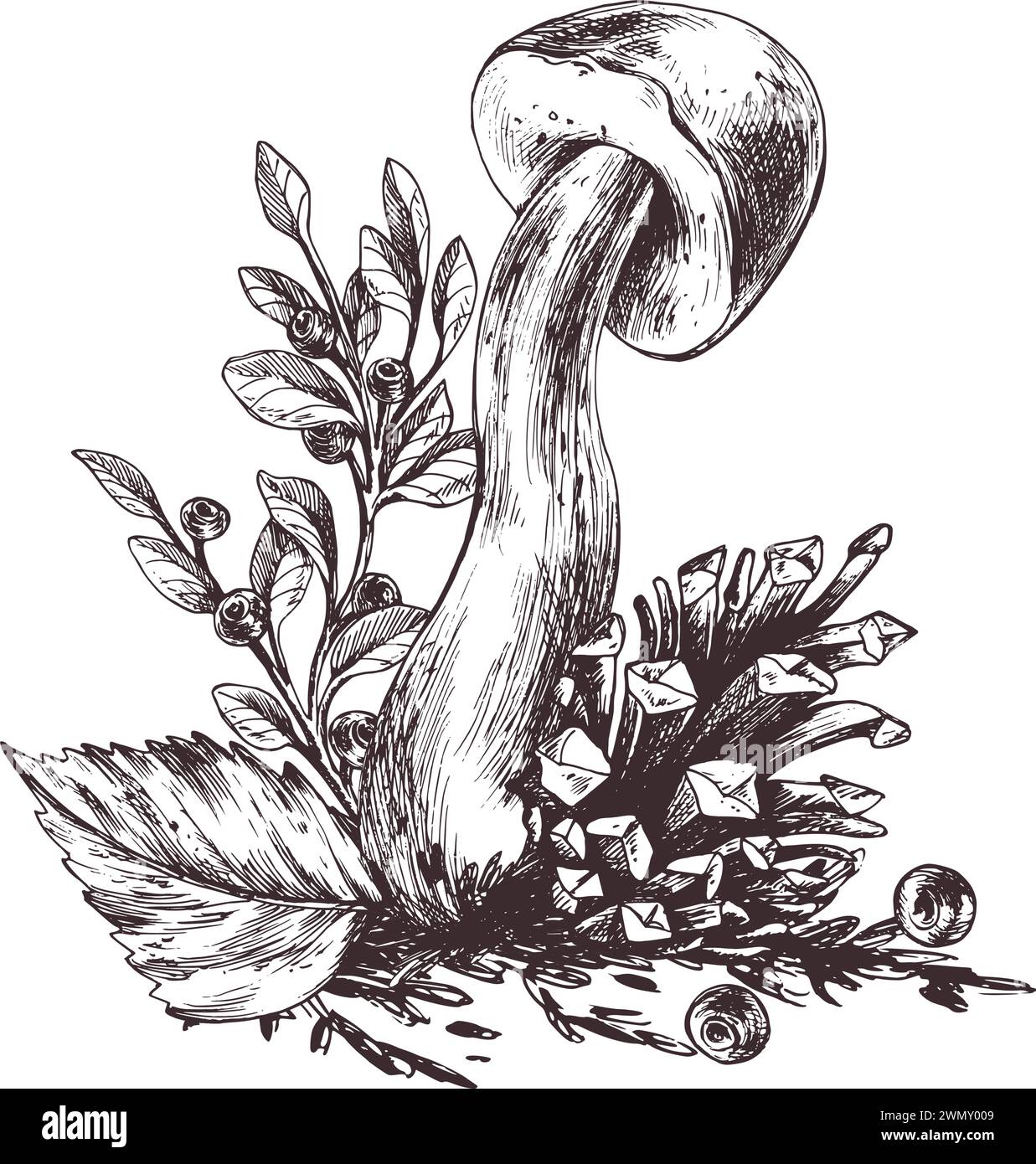 Moss engraving Stock Vector Images - Alamy