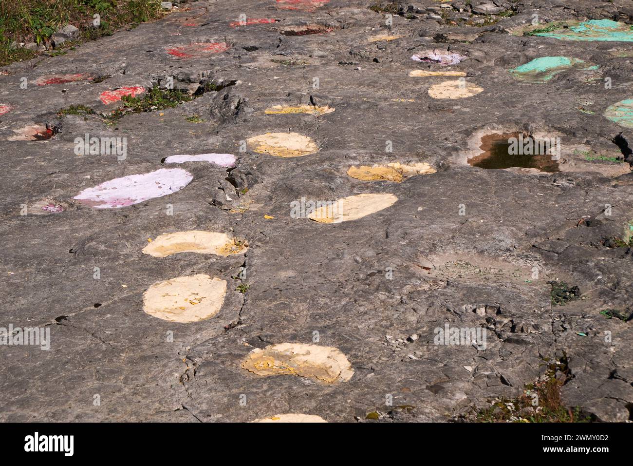 France, Jura, Loulle, le bois aux salpetrier, Dinosaur track site, one ...