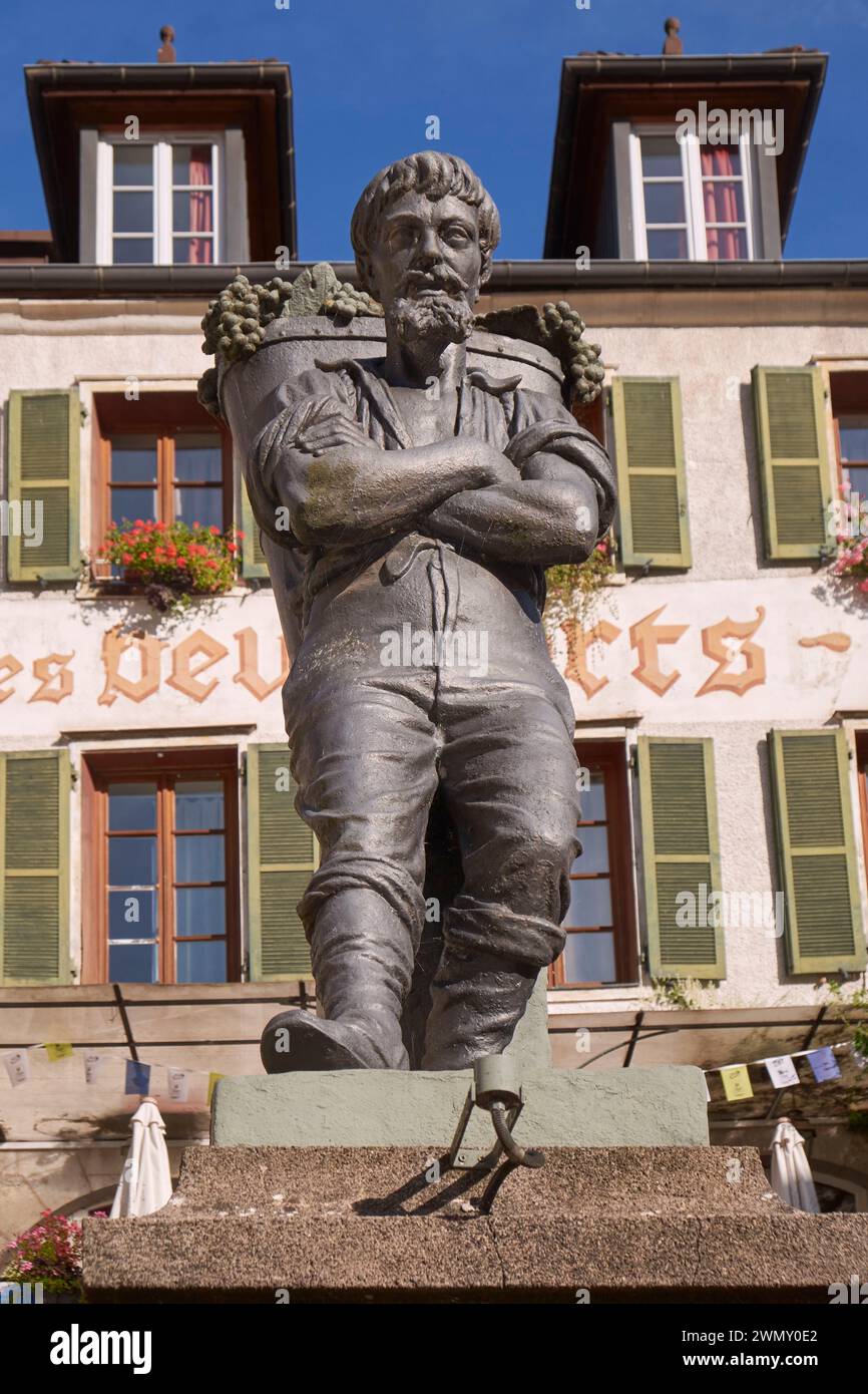 Grape harvester hi-res stock photography and images - Alamy