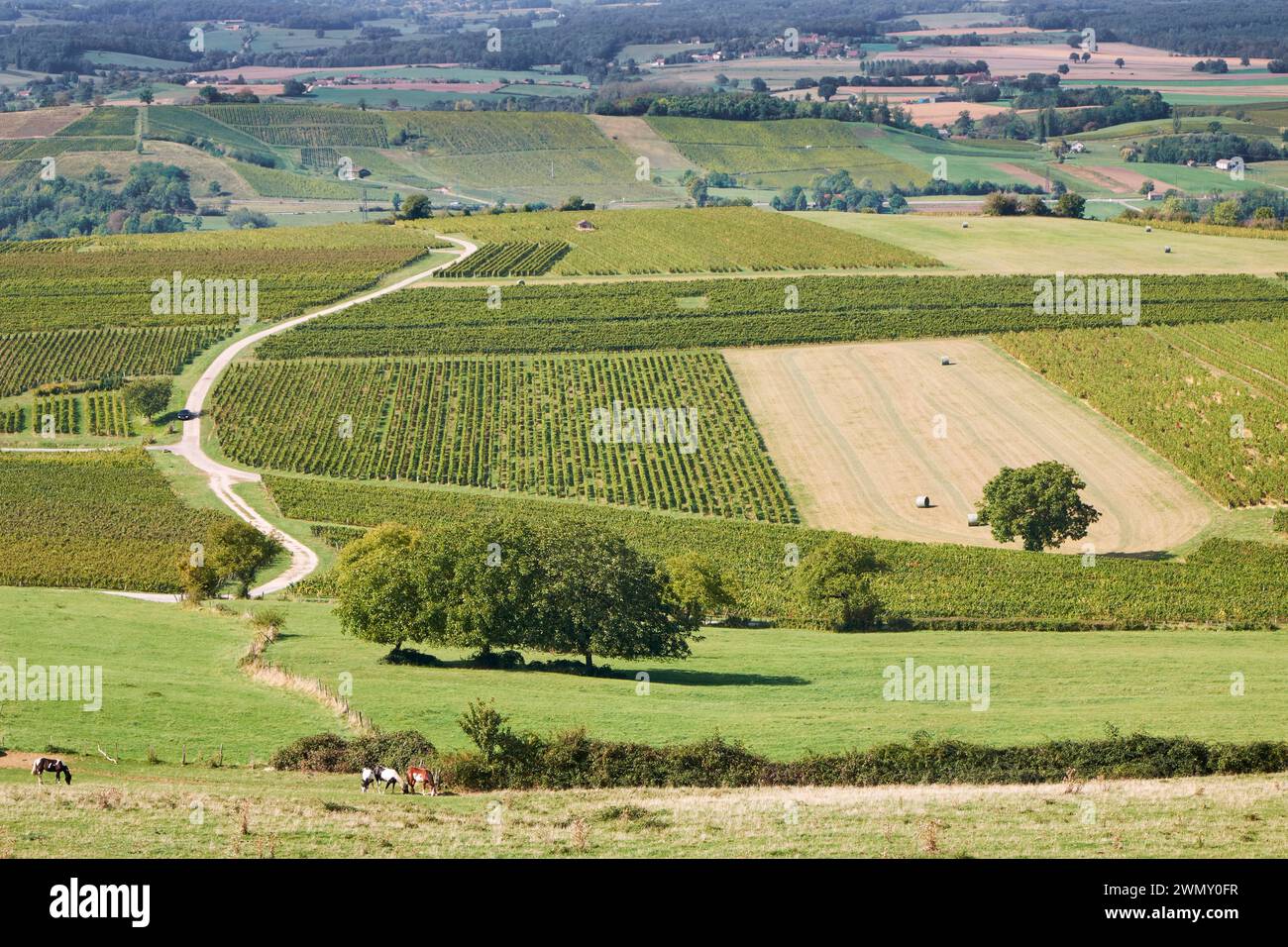 Village of pupillin hi-res stock photography and images - Alamy