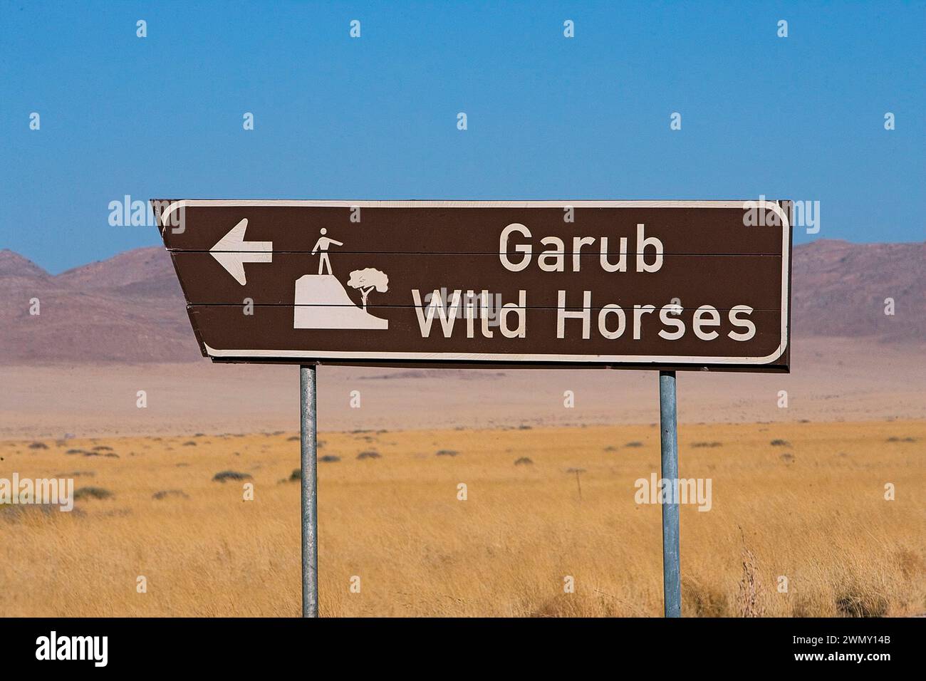 Namib Desert Horse (Equus ferus caballus). Road sign. Namib Desert ...