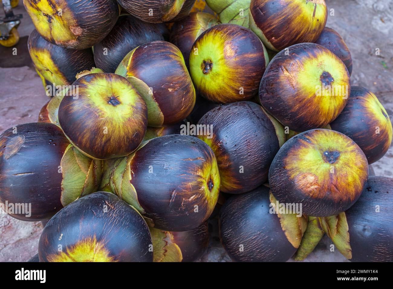 Vietnam, Mekong Delta, An Giang province, Chau Doc, Nui Sam district ...