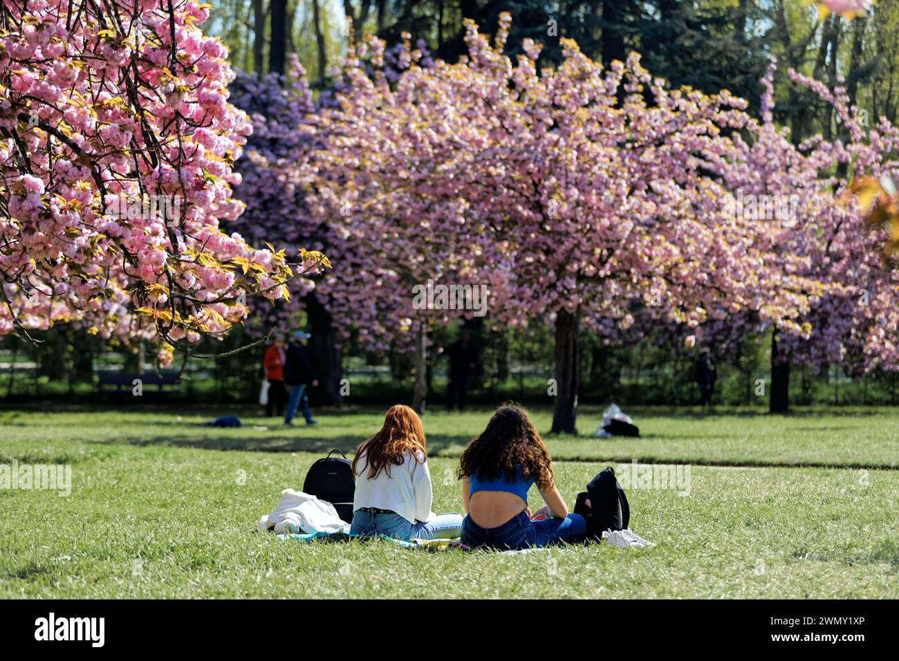 Le parc de bosquet hi-res stock photography and images - Alamy