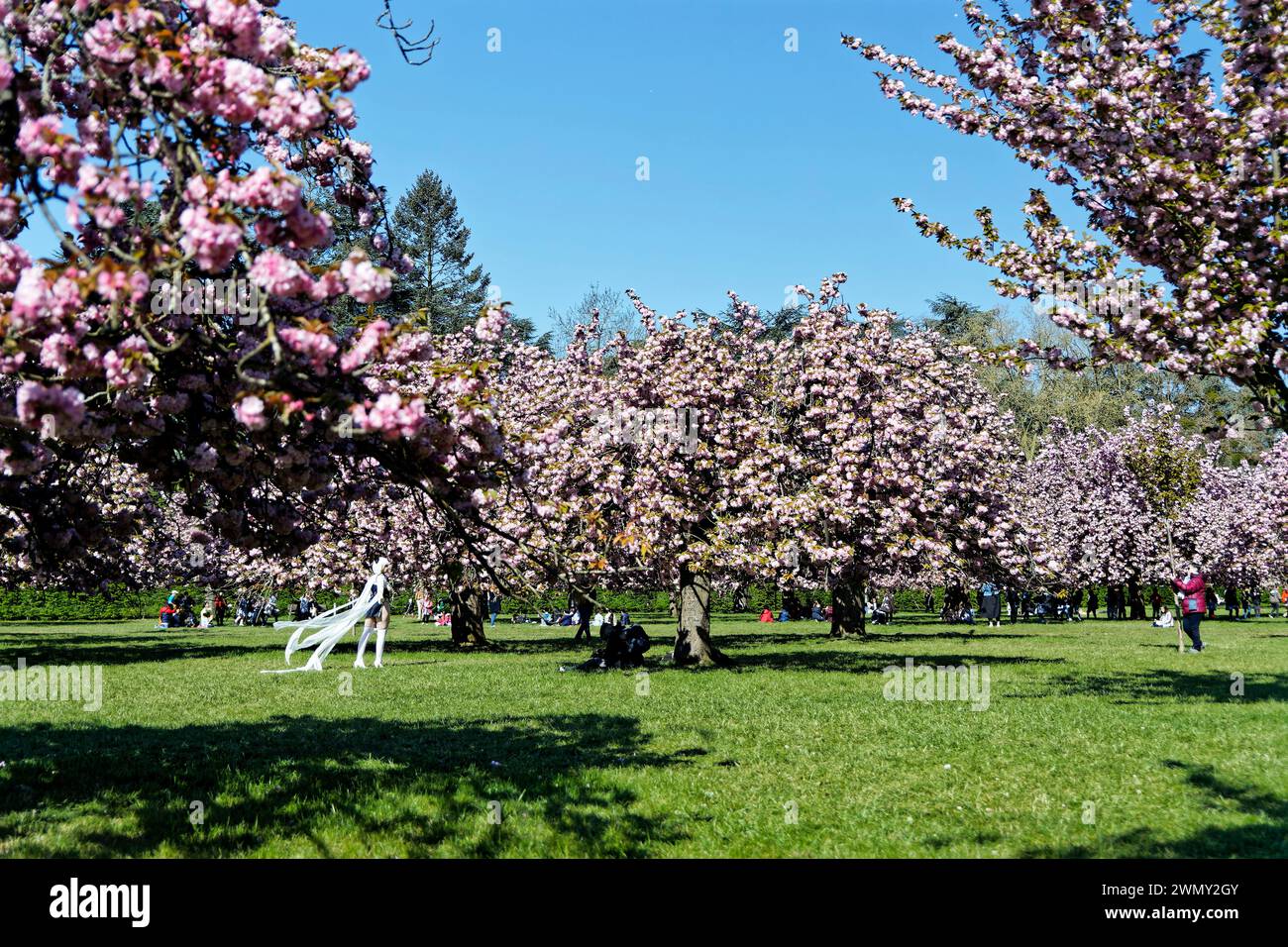 Le parc de bosquet hi-res stock photography and images - Alamy