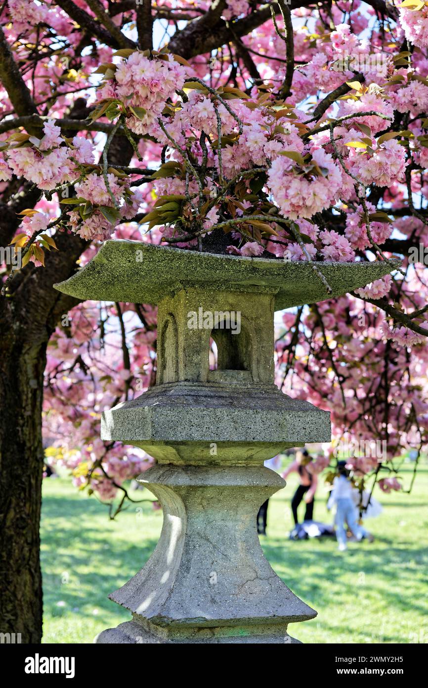 Le parc de bosquet hi-res stock photography and images - Alamy