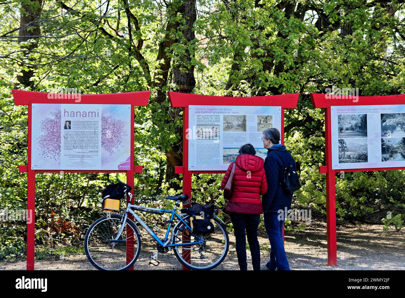 Le parc de bosquet hi-res stock photography and images - Alamy