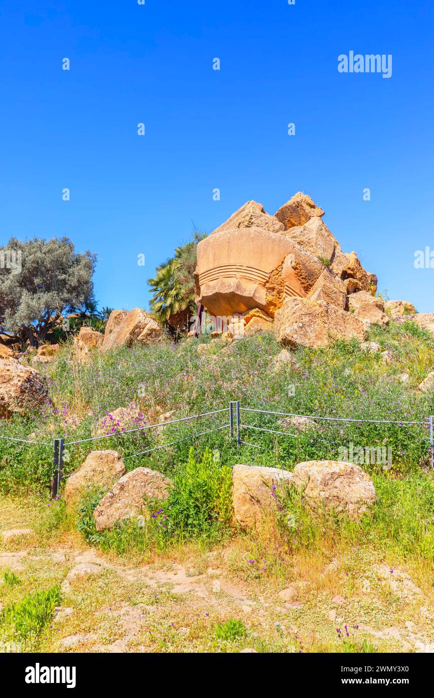 Italy, Sicily, Agrigento, Temple of Olympian Zeus, Valley of the ...