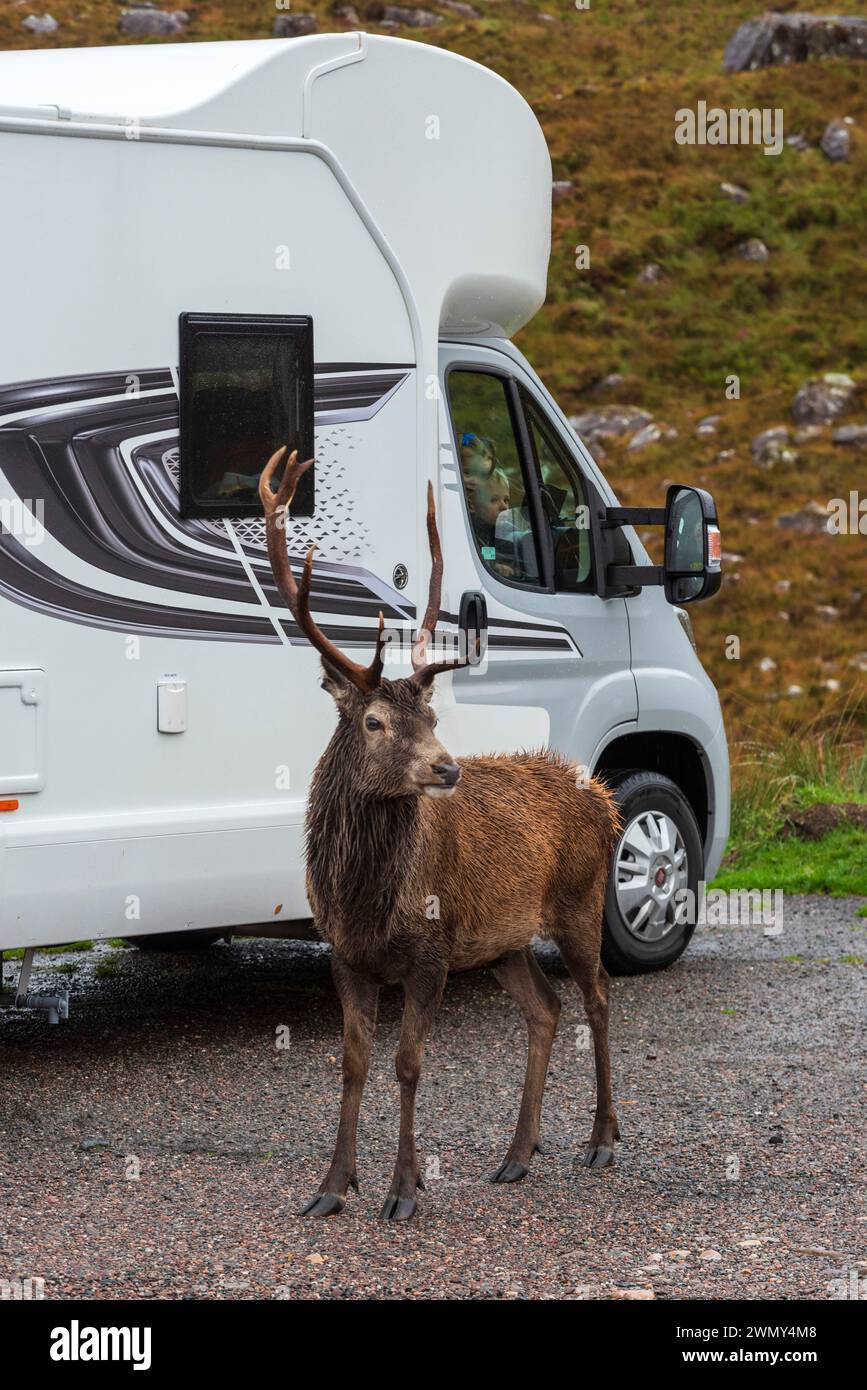 United Kingdom, Scotland, Highlands, North Coast 500 Route, Kinlochewe ...