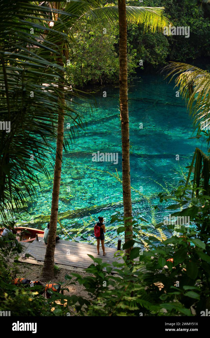 Banggai kepulauan hi-res stock photography and images - Alamy