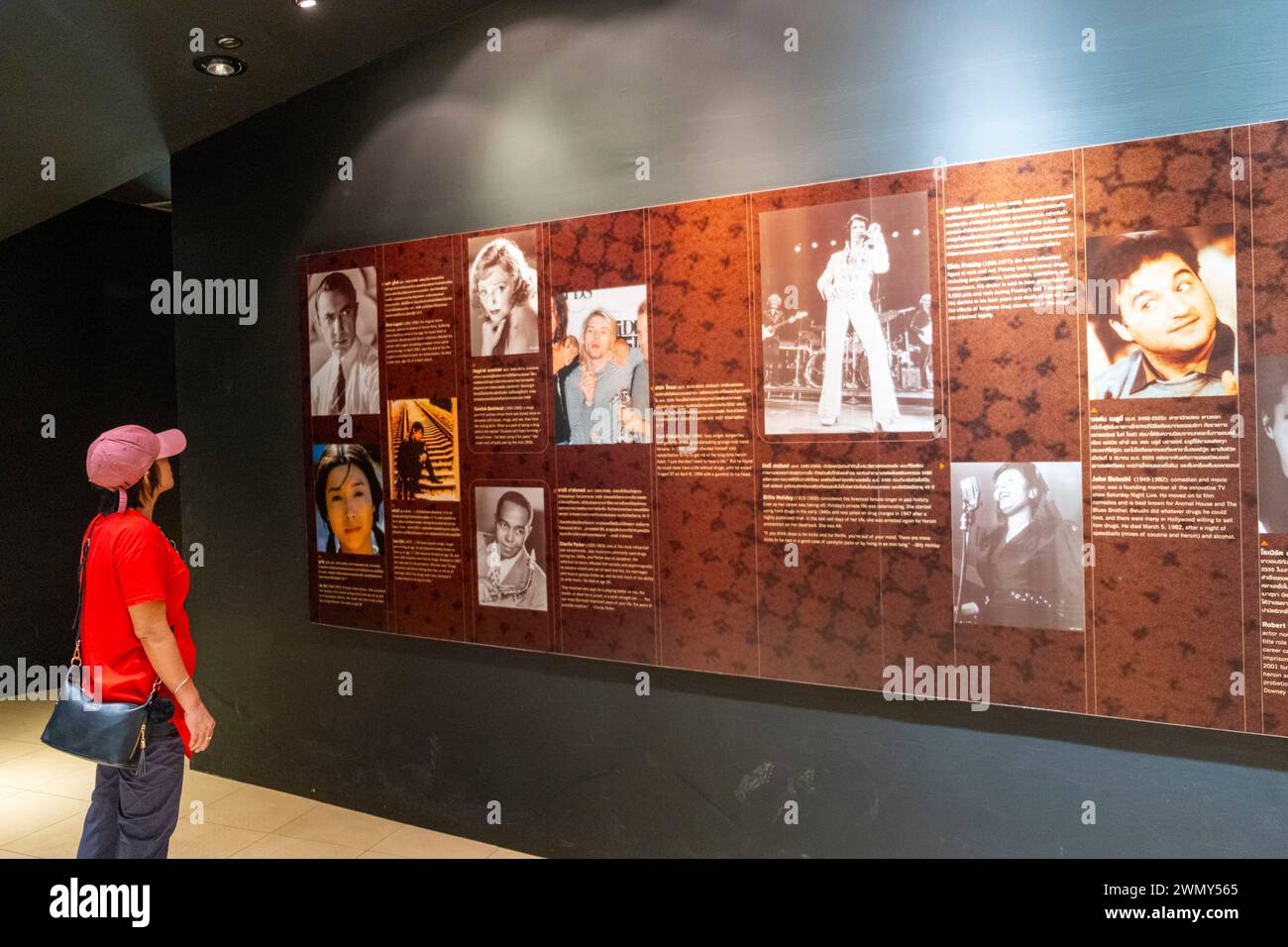 Thailand, Chiang Rai province, Sop Ruak, Golden Triangle, Hall of Opium ...