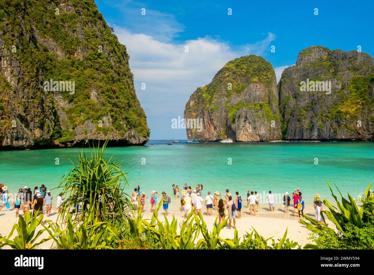 Thailand, Krabi province, Koh Phi Phi Leh island, tourists at Maya bay, ban on swimming Stock ...