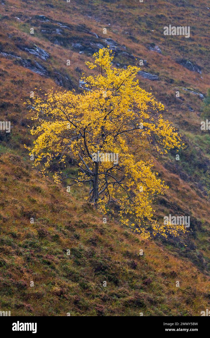 United Kingdom, Scotland, Highlands, North Coast 500 Road, Wester Ross ...