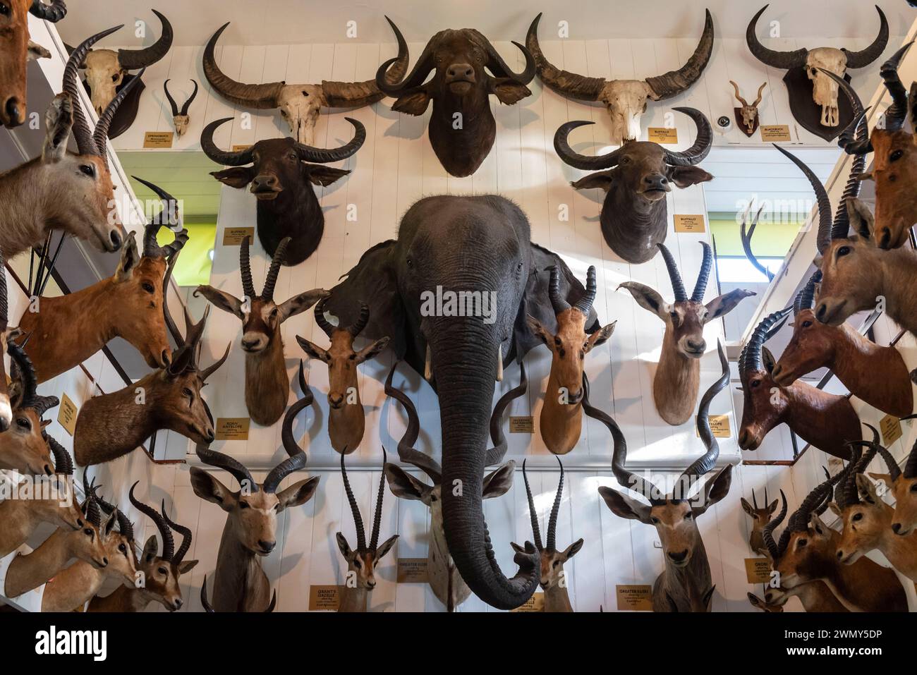 United Kingdom, Scotland, Highlands, North Coast 500 Route, Sutherland ...