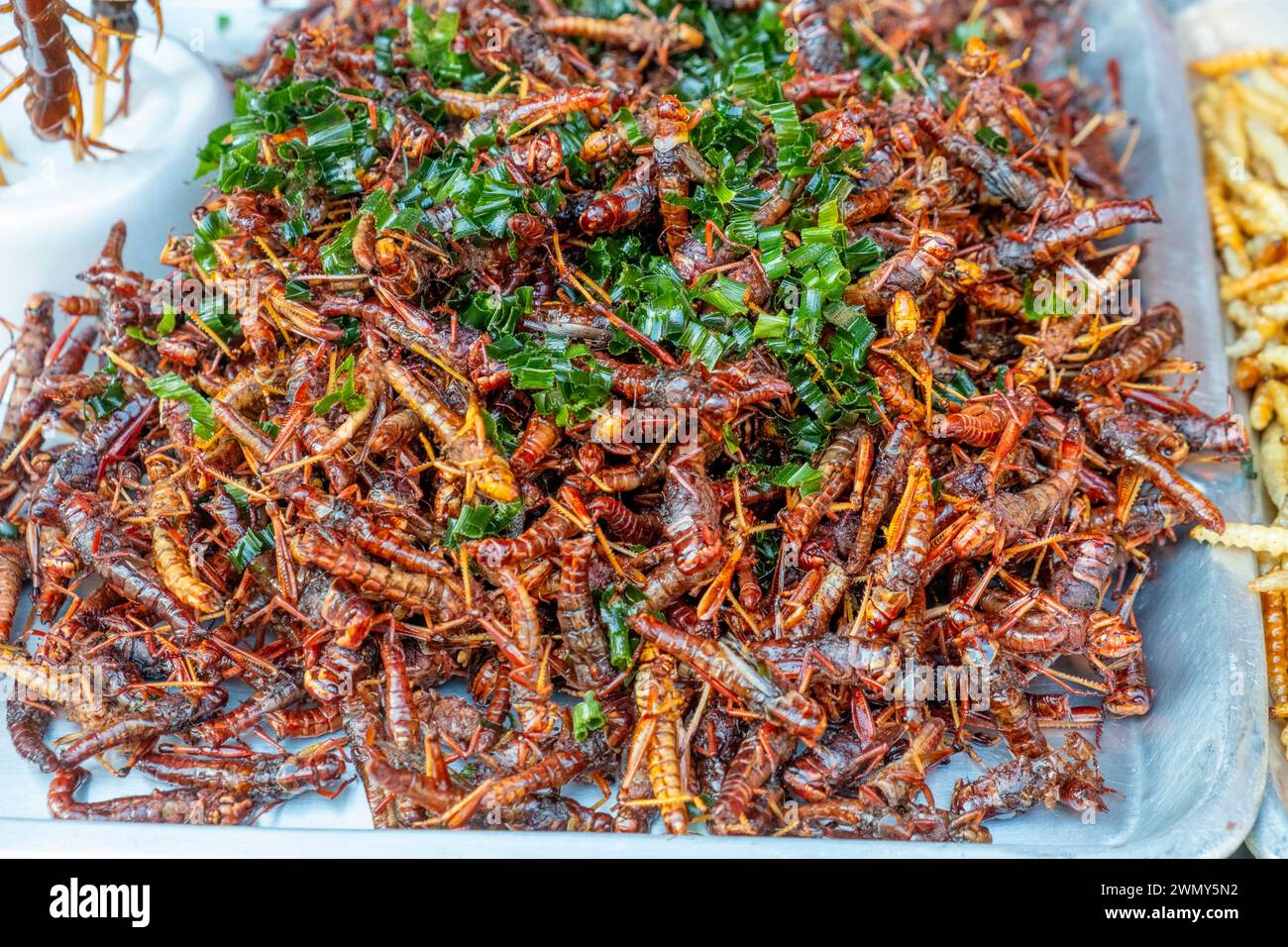Thailand, Bangkok, Chinatown, Thanon Yaowarat street, stand selling ...