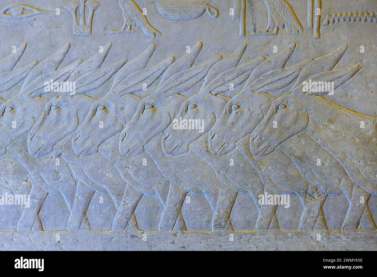 Egypt, Cairo, Saqqara, Memphis and its necropolis, the pyramid fields ...