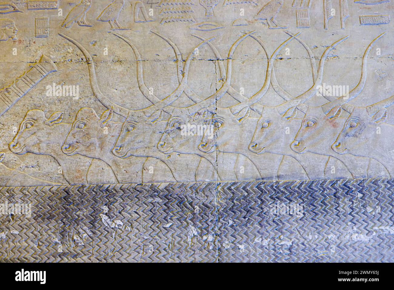 Egypt, Cairo, Saqqara, Memphis and its necropolis, the pyramid fields ...