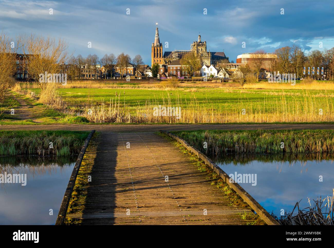 St. John's Cathedral in 's-Hertogenbosch seen from Bossche Broek nature ...