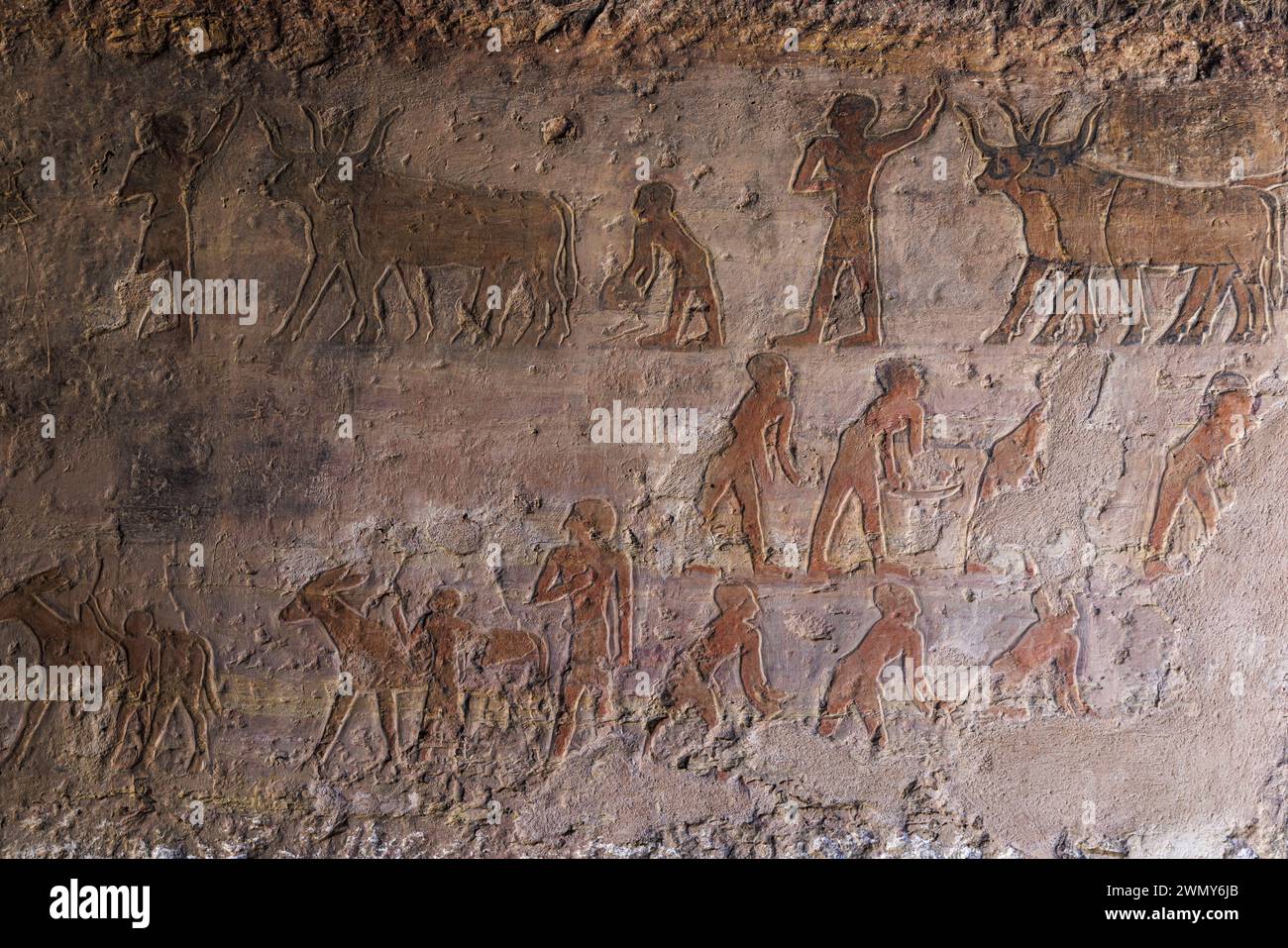 Egypt, Aswan, noble tombs, Sirenput II tomb, Mwkho and Sabni tombs ...
