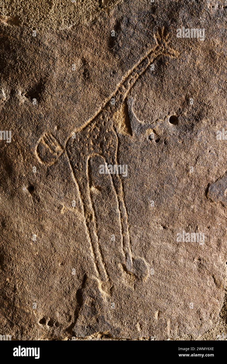 Egypt, Aswan, Nubian Museum, petroglyph of a giraffe saved from Nasser ...