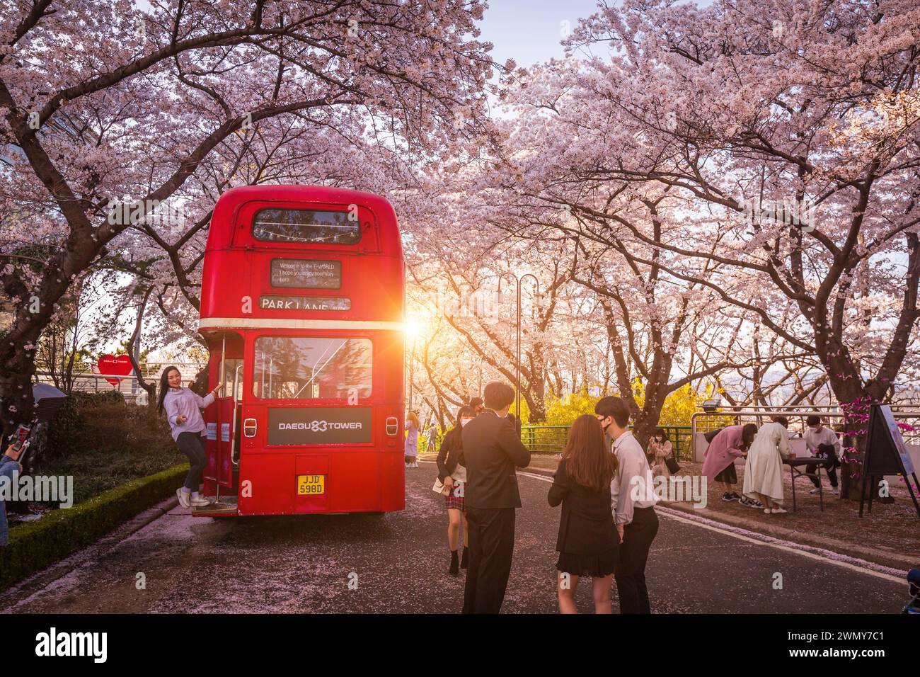 Tourists taking photos of spring cherry blossoms at E-World 83 Tower, a ...