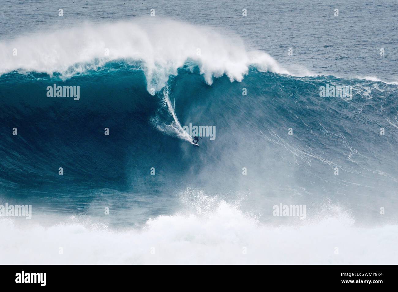 Portugal, Estremadura, Nazaré, Big Wave Challenge, surfing competition ...