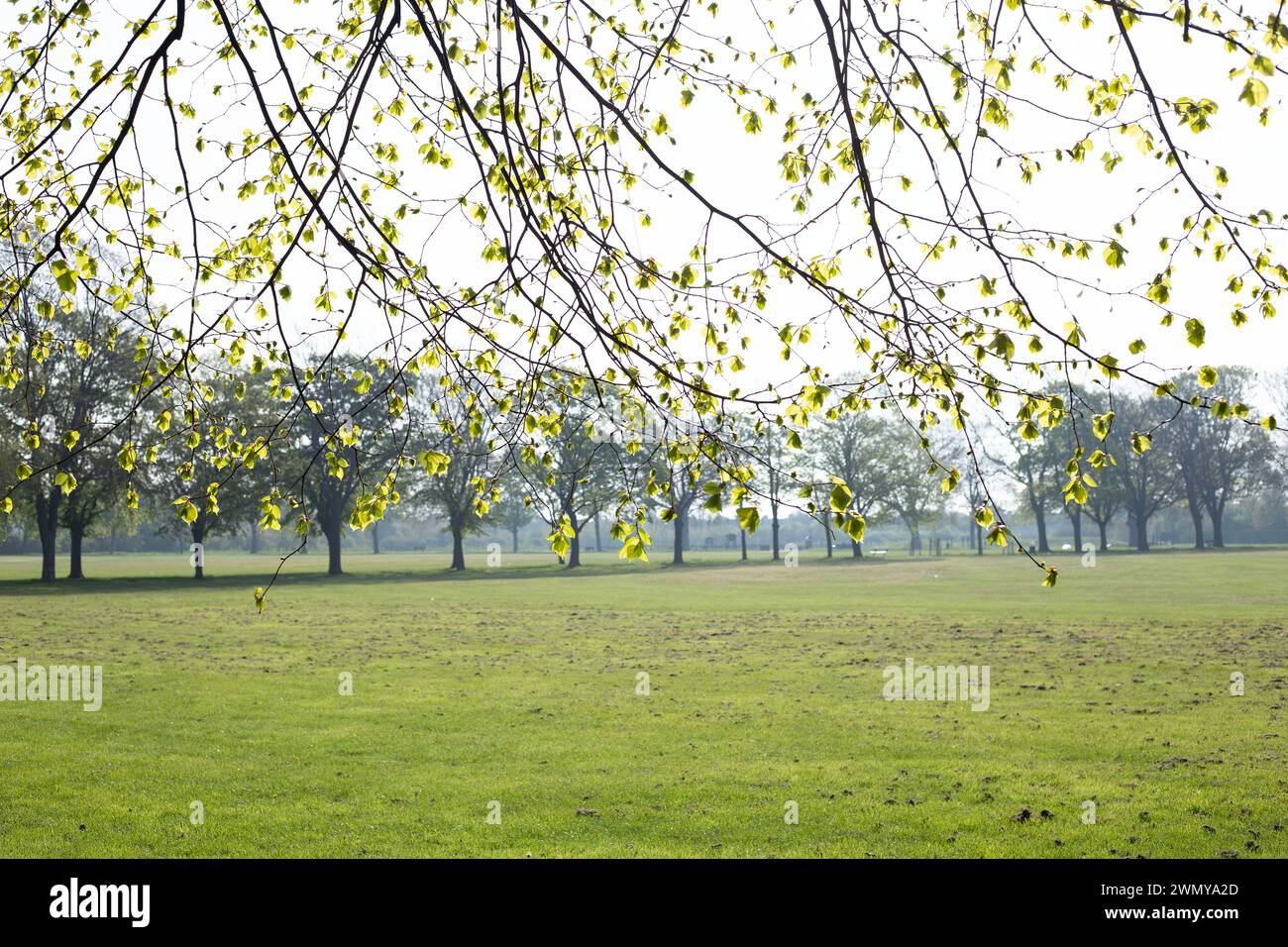 Ilford, east London Stock Photo - Alamy