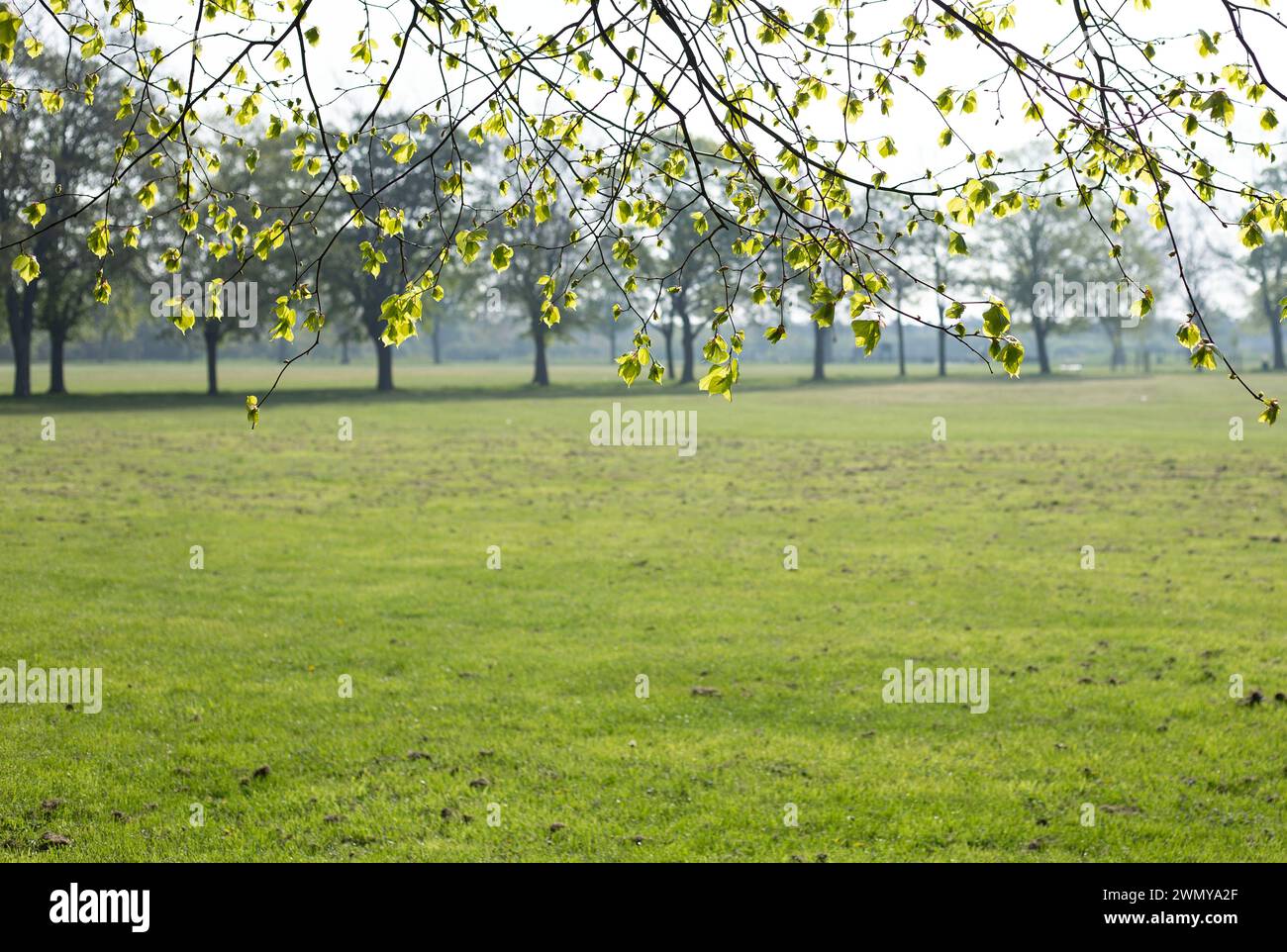 Ilford, east London Stock Photo - Alamy