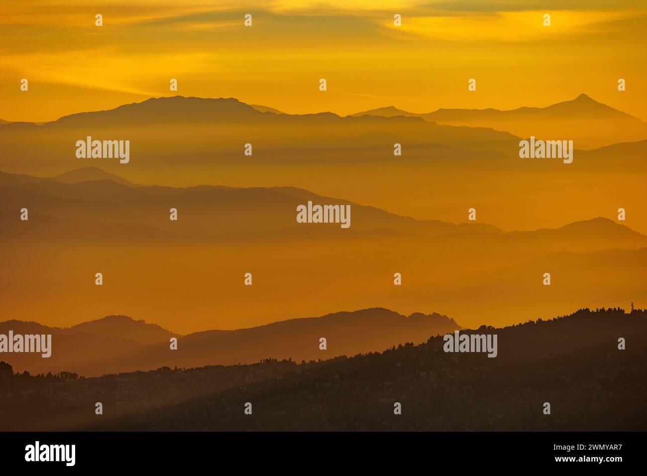 Nepal, Himalayas, Singalila National Park, Mossy oak forest, mountain ...