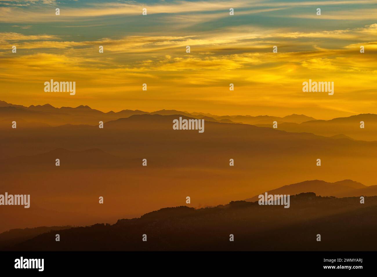 Sikkim oak hi-res stock photography and images - Alamy