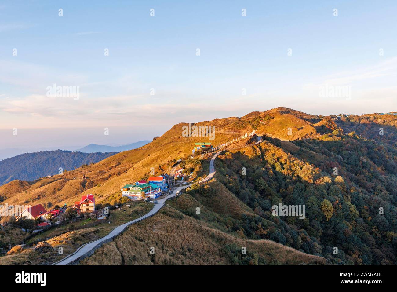 Nepal, Himalayas, Singalila National Park, Mossy oak forest, mountain ash sp. and Rhododendrons ...
