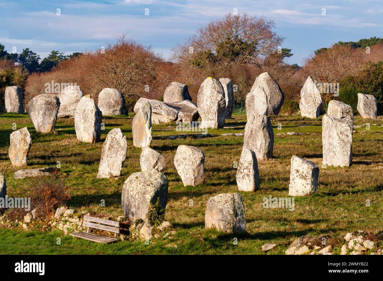 France, Morbihan, Carnac, alignments of Ménec, set of 1050 menhirs, in ...