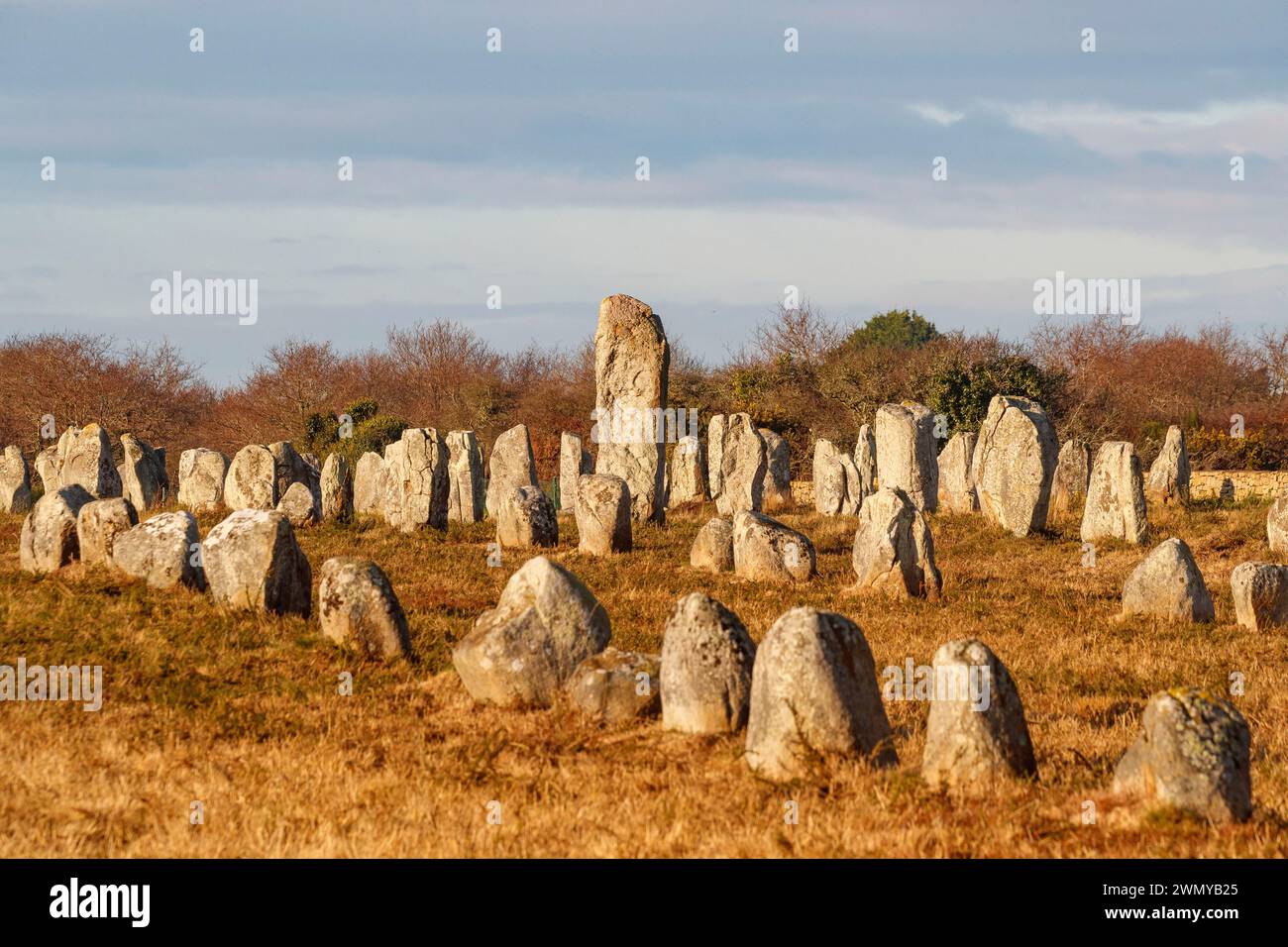 Specified era hi-res stock photography and images - Alamy