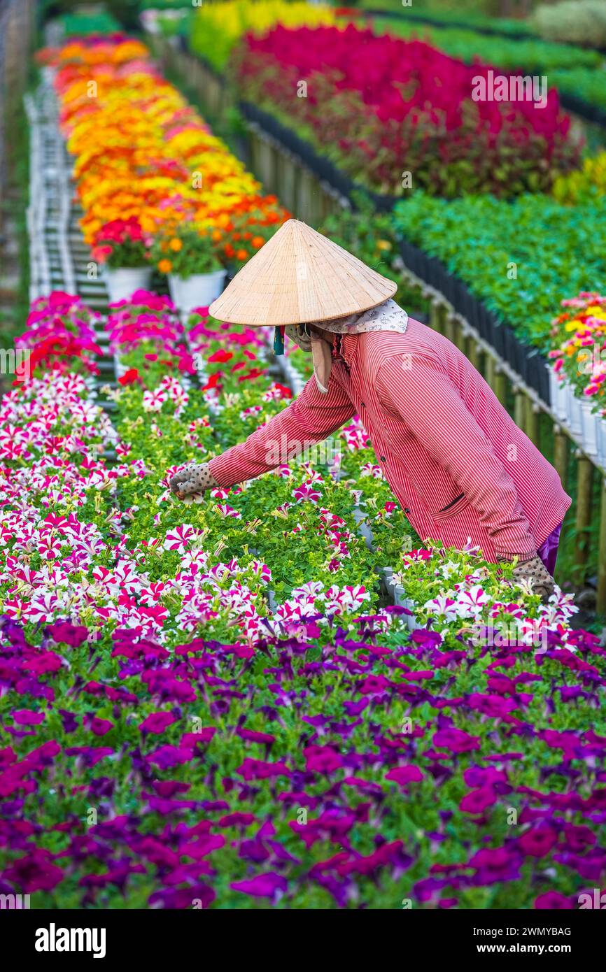 Vietnam, Mekong Delta, Sa Dec, the flower village of Sa Dec, called ...