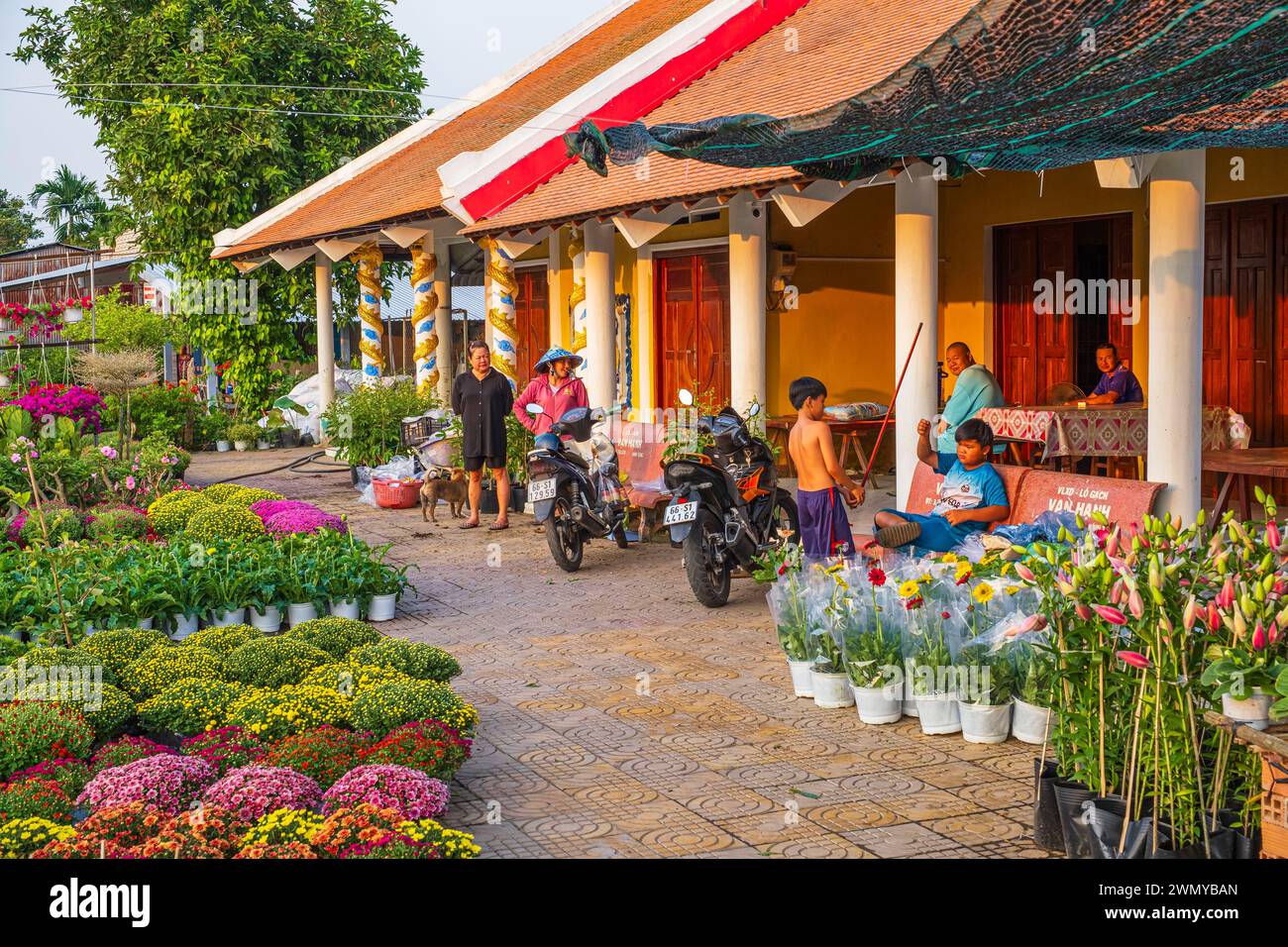 Vietnam, Mekong Delta, Sa Dec, the flower village of Sa Dec, called ...