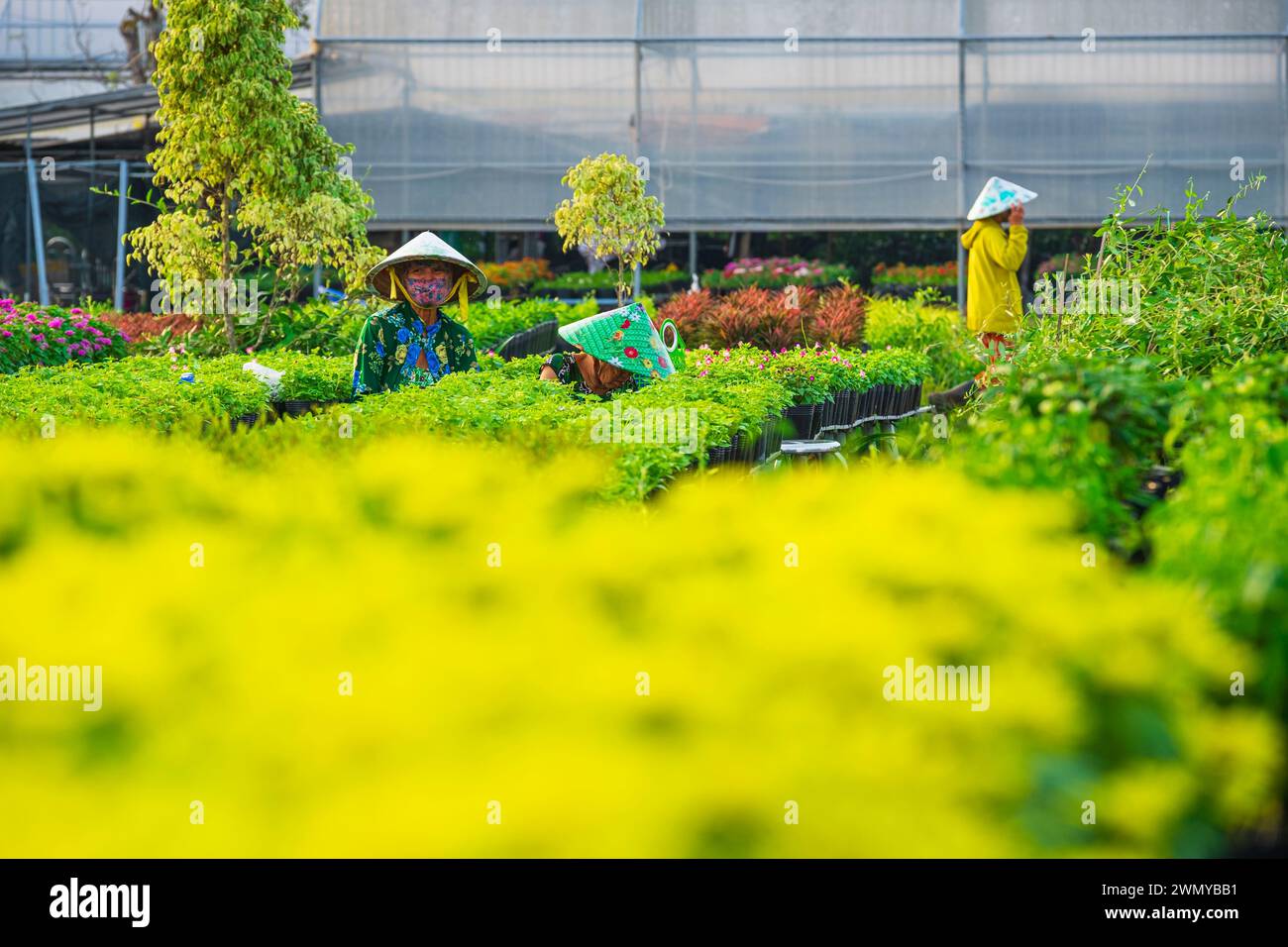 Lang hoa sa dec hi-res stock photography and images - Alamy