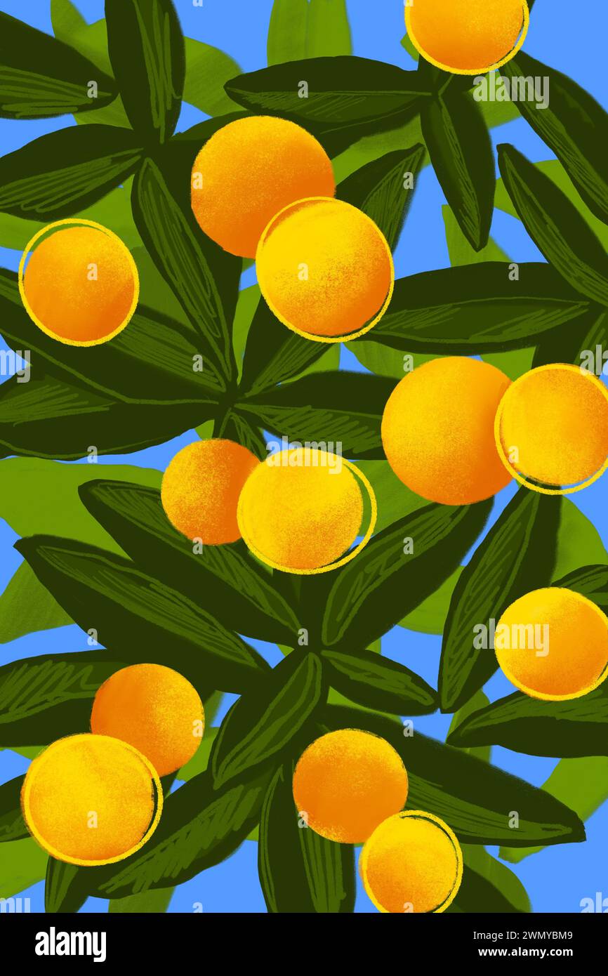 Orange hand drawn pencil hi-res stock photography and images - Alamy