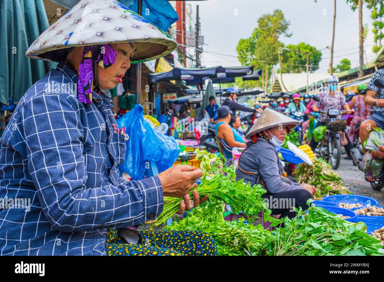 Vietnam, Mekong Delta, Sa Dec, the market Stock Photo - Alamy