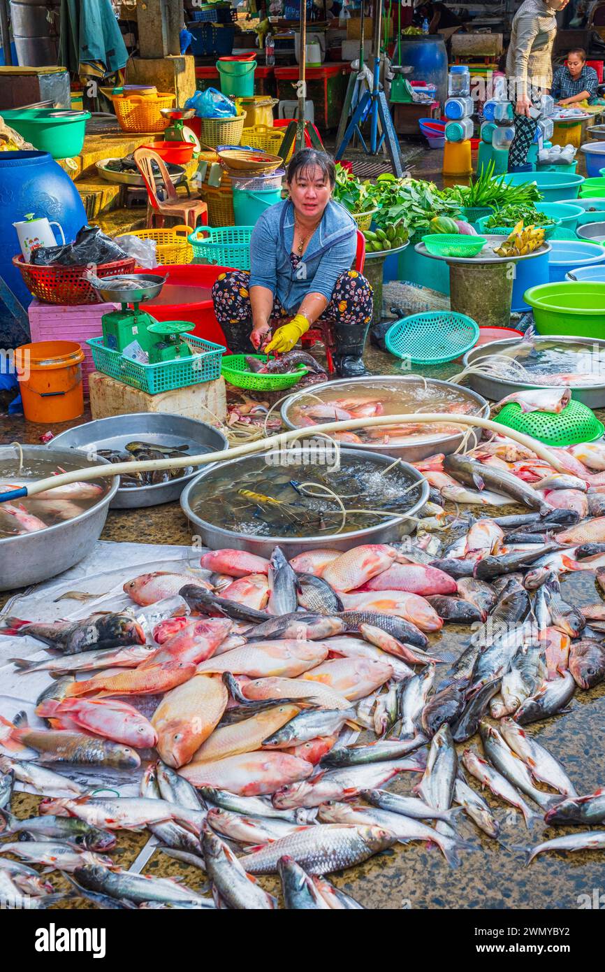 Vietnam, Mekong Delta, Sa Dec, the market Stock Photo - Alamy