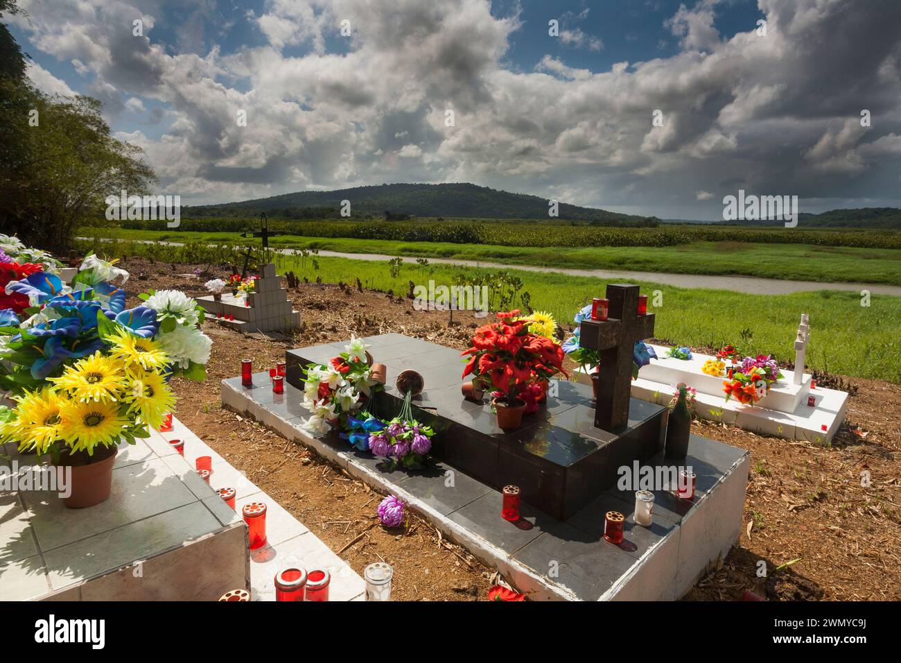 France, French Guiana, venom collection mission of the Venometech ...