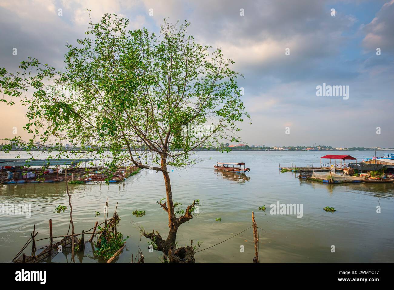 Vietnam, Mekong Delta, Vinh Long province, An Binh Island, fish farming ...
